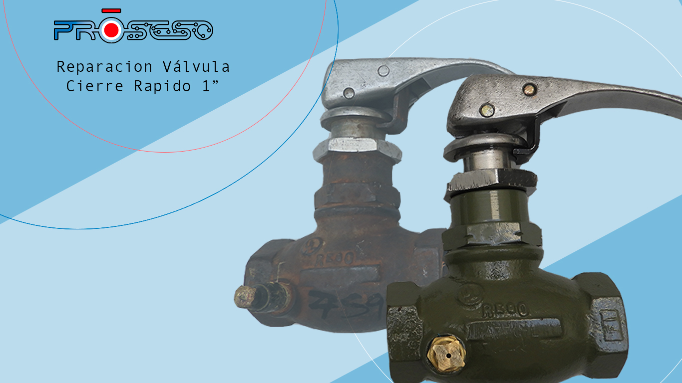 Válvulas de Cierre Rápido – PROSESO